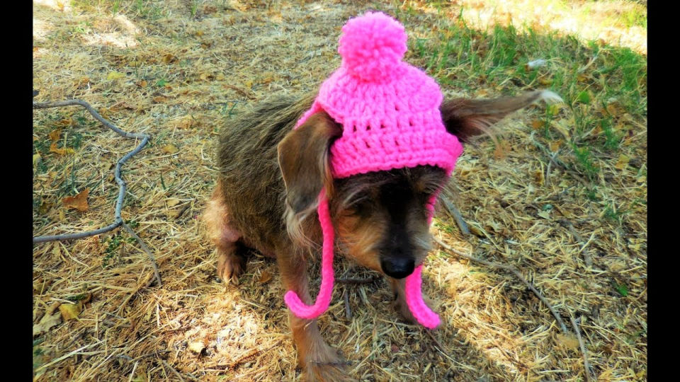 20 Free Crochet Dog Hat Patterns (Detailed Pattern) - Blitsy