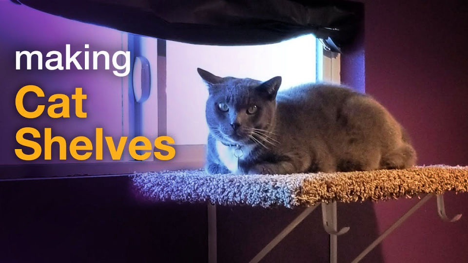 DIY Cat Window Perch - Step by Step Guide - Blitsy
