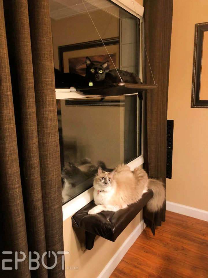 DIY Cat Window Perch - Step by Step Guide - Blitsy