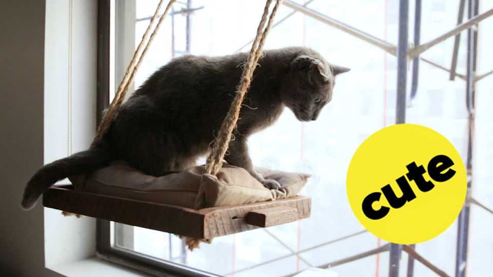 DIY Cat Window Perch - Step by Step Guide - Blitsy