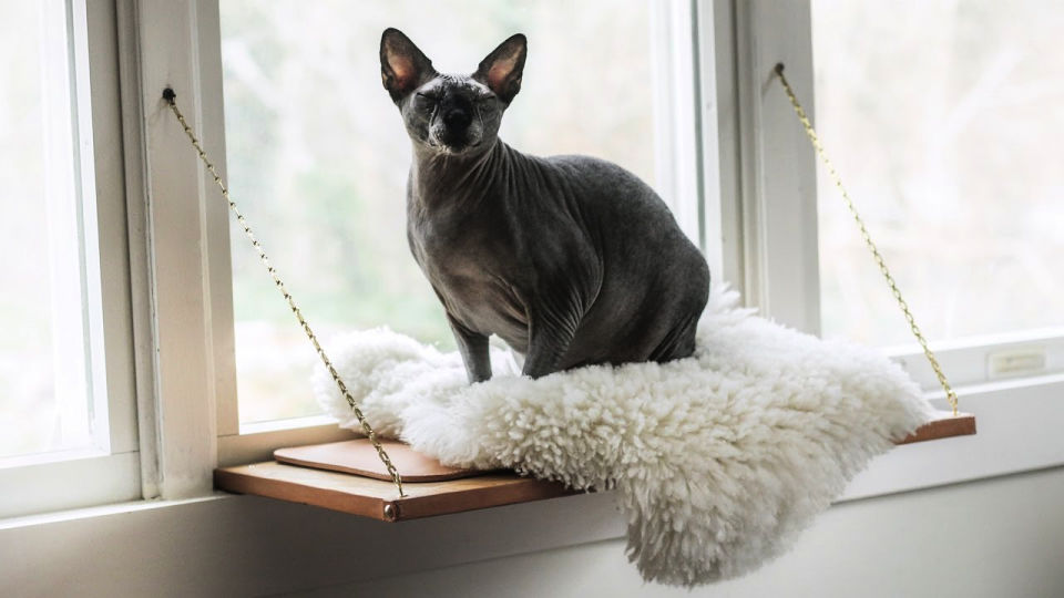 DIY Cat Window Perch - Step by Step Guide - Blitsy
