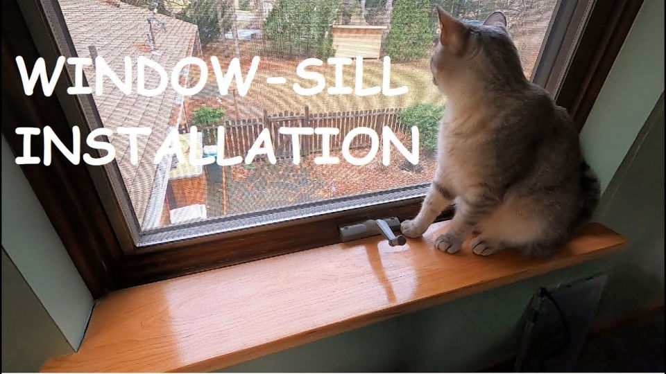 DIY Cat Window Perch - Step by Step Guide - Blitsy