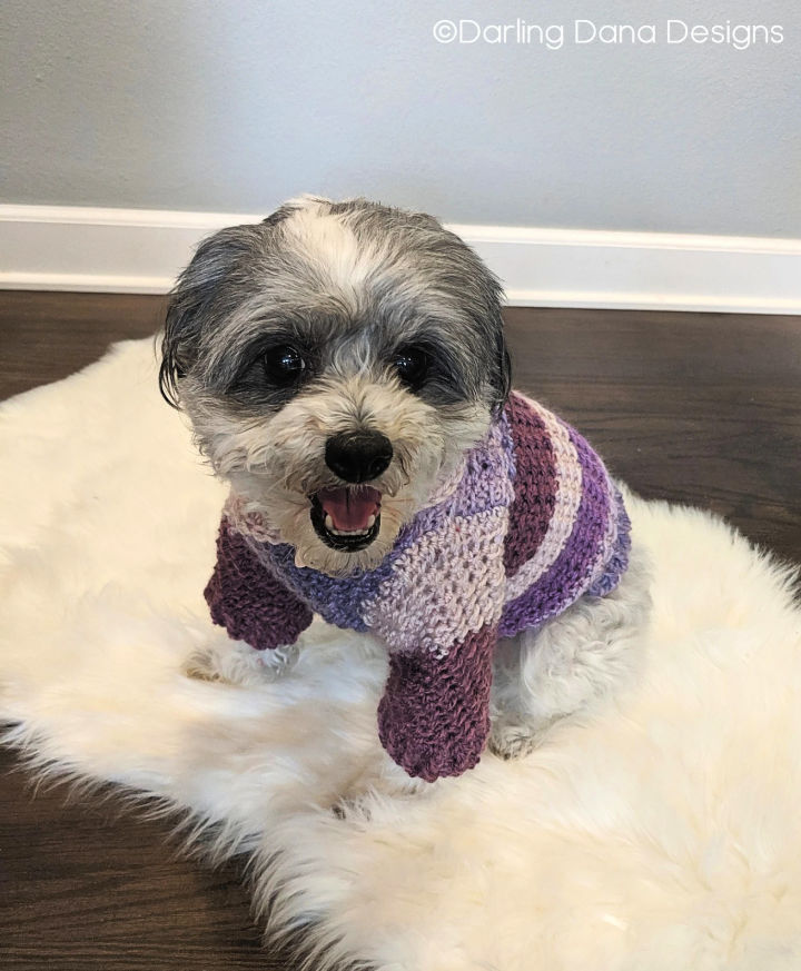 30 Free Crochet Dog Sweater Patterns (Easy Pattern)