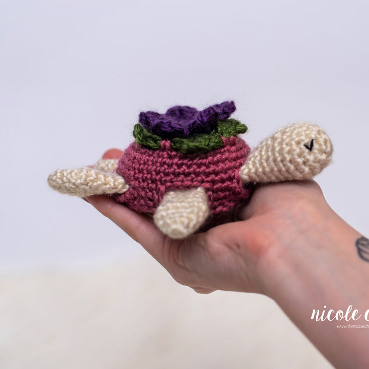 25 Free Crochet Turtle Patterns (Amigurumi Pattern)