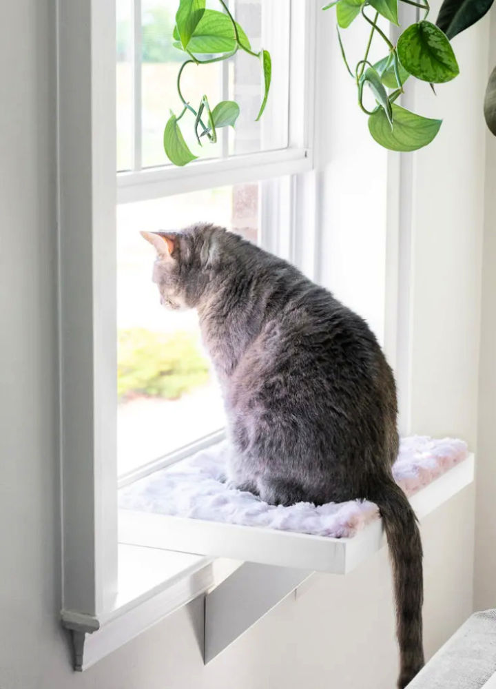 DIY Cat Window Perch - Step by Step Guide - Blitsy