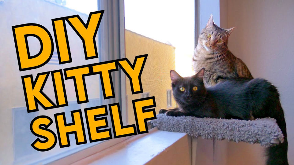 DIY Cat Window Perch - Step by Step Guide - Blitsy