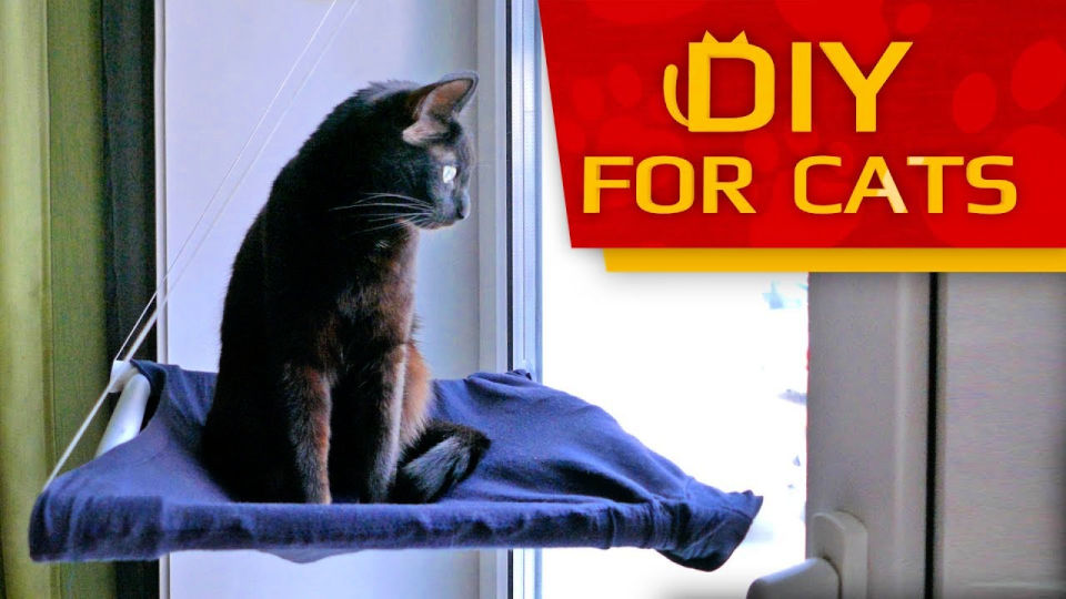 DIY Cat Window Perch - Step by Step Guide - Blitsy