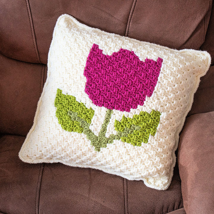 50 Free Crochet Pillow Patterns (Pillow Cover Pattern) - Blitsy