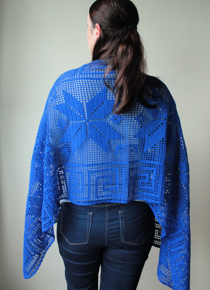 25 Easy and Free Filet Crochet Patterns for Beginners - Blitsy