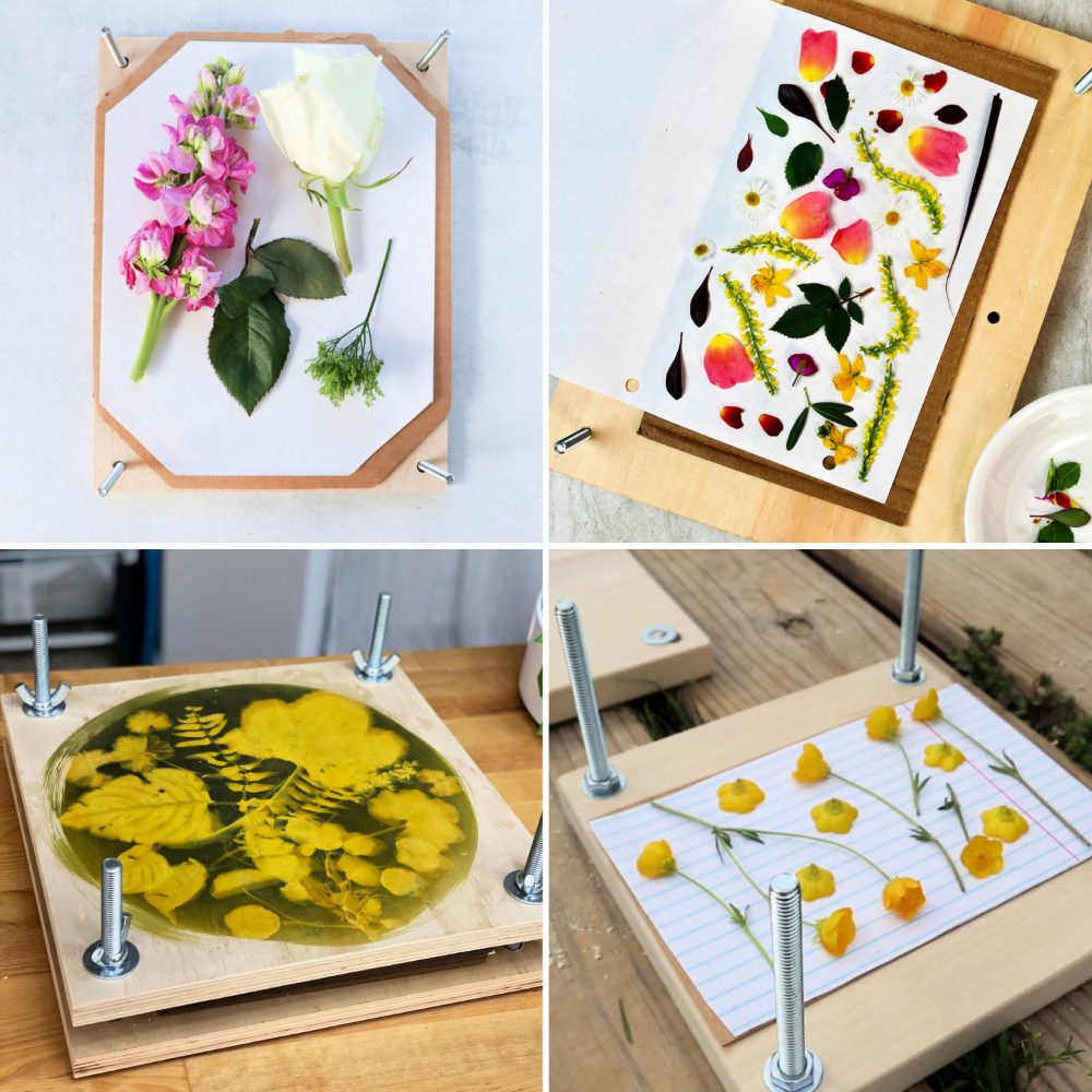 DIY Flower Press to Preserve Your Favorite Blooms - Blitsy