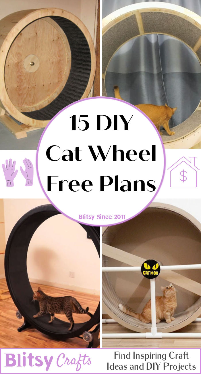 DIY Cat Wheel for Your Feline Friend - Blitsy