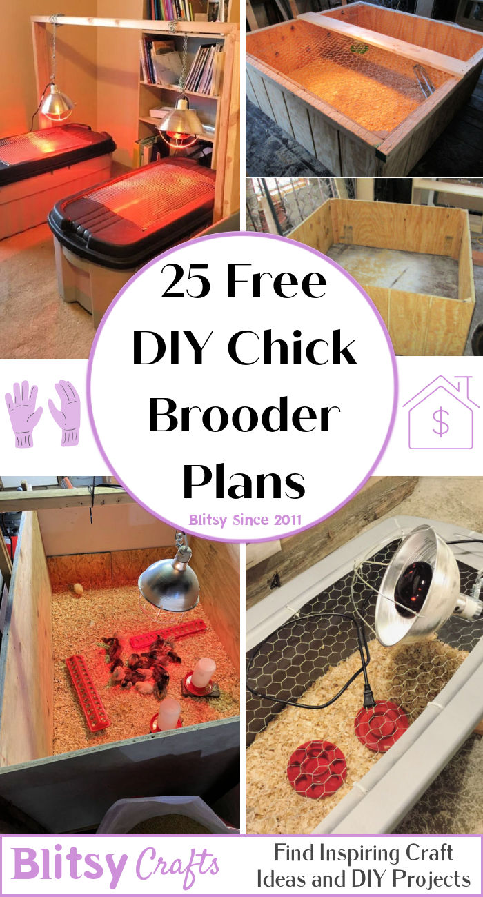 DIY Chick Brooder to Keep Your Chicks Healthy and Happy - Blitsy