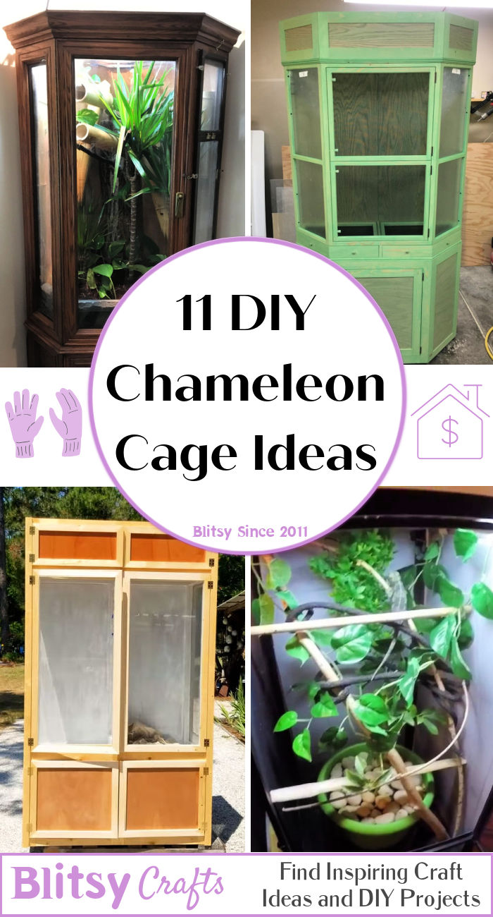 DIY Chameleon Cage - Step by Step Guide - Blitsy
