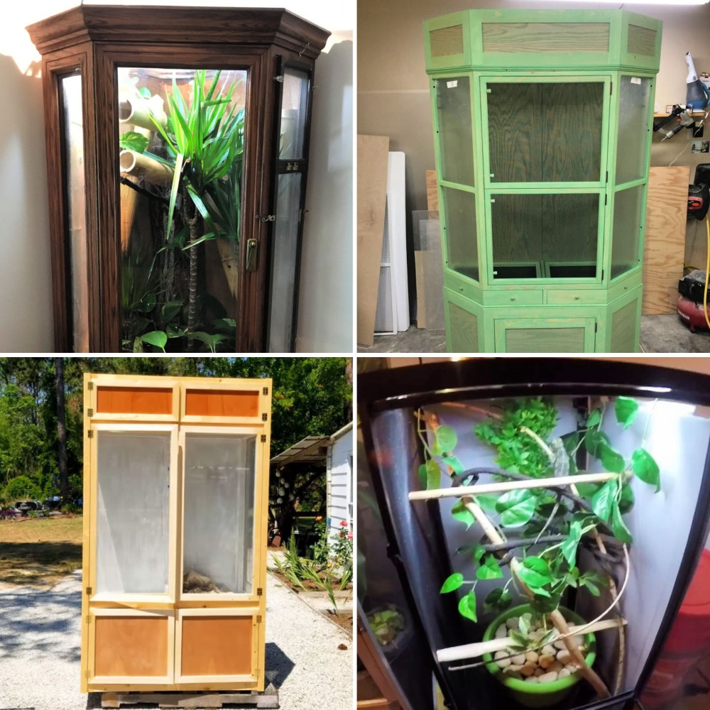 Homemade Chameleon Cage