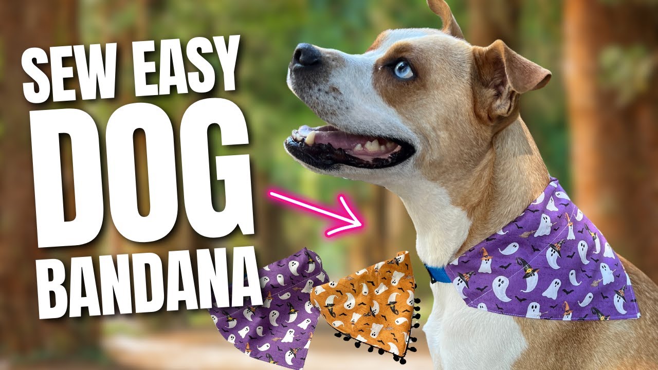 Easy DIY Dog Bandana Pattern - Blitsy