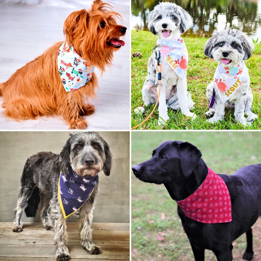 Easy DIY Dog Bandana Pattern - Blitsy