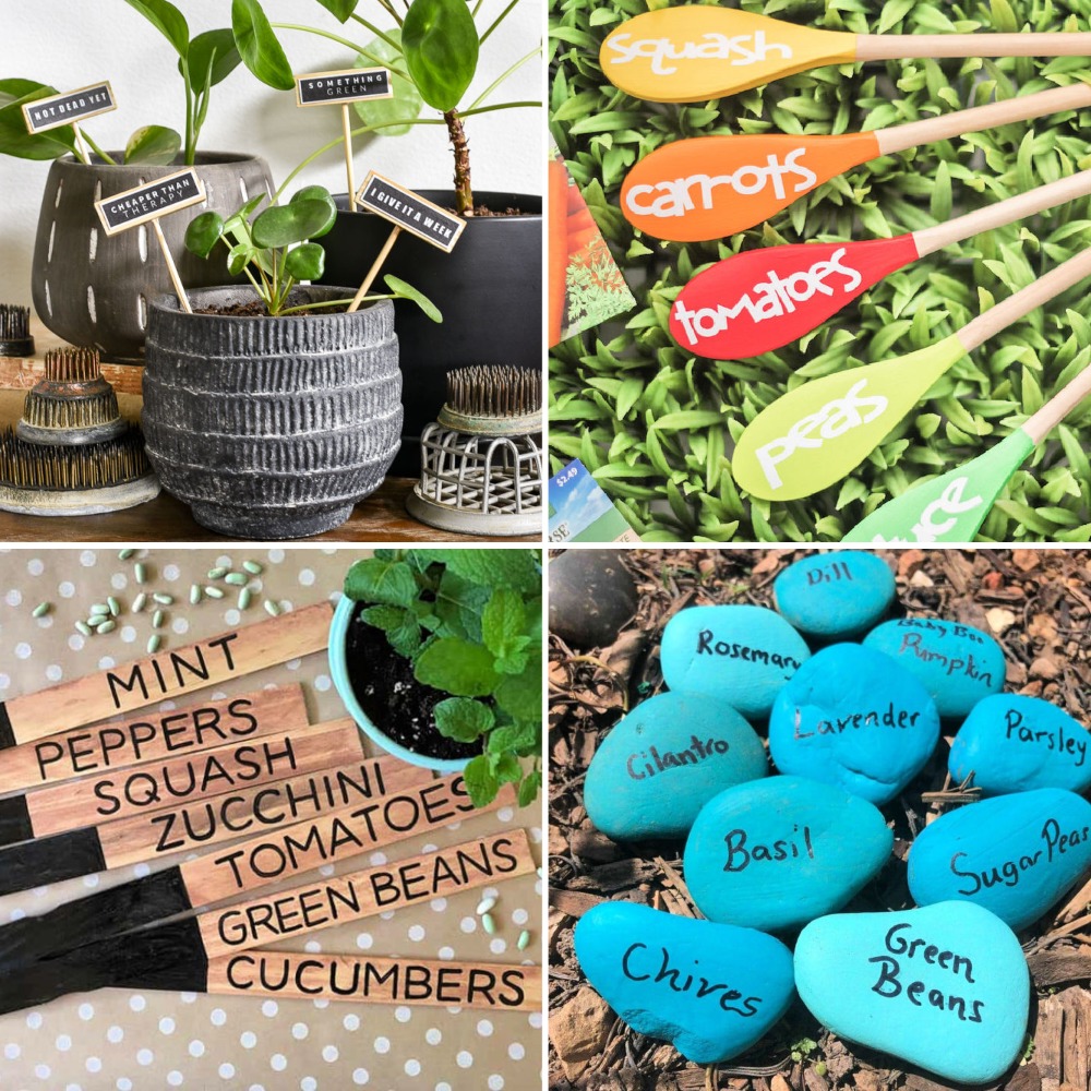 25 Cool DIY Plant Labels & Markers - Blitsy