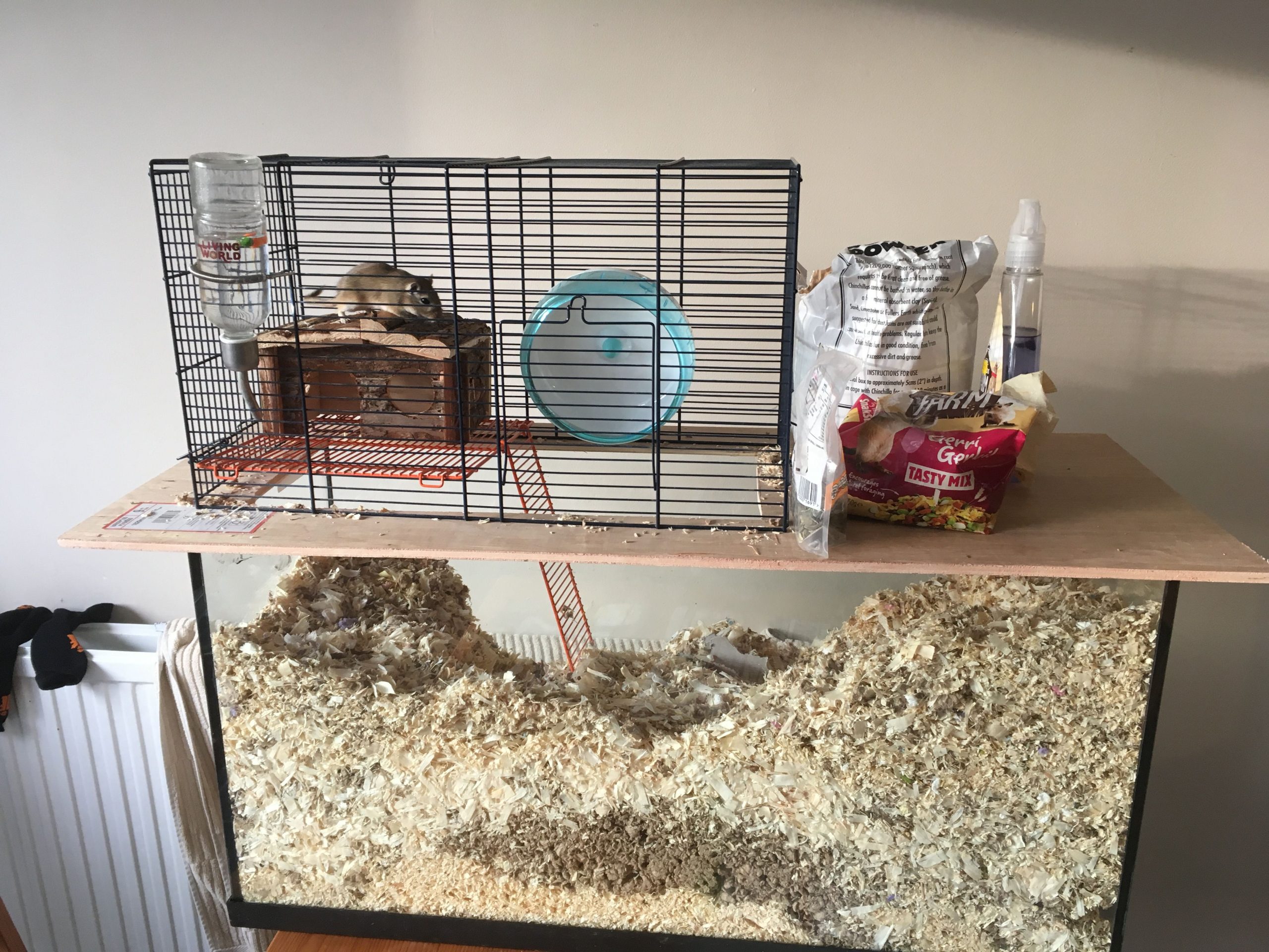 DIY Rat Cage - Step by Step Guide - Blitsy