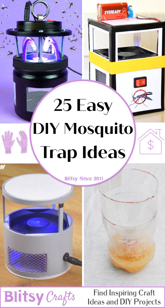 DIY Mosquito Trap to Keep Mosquitoes at Bay - Blitsy