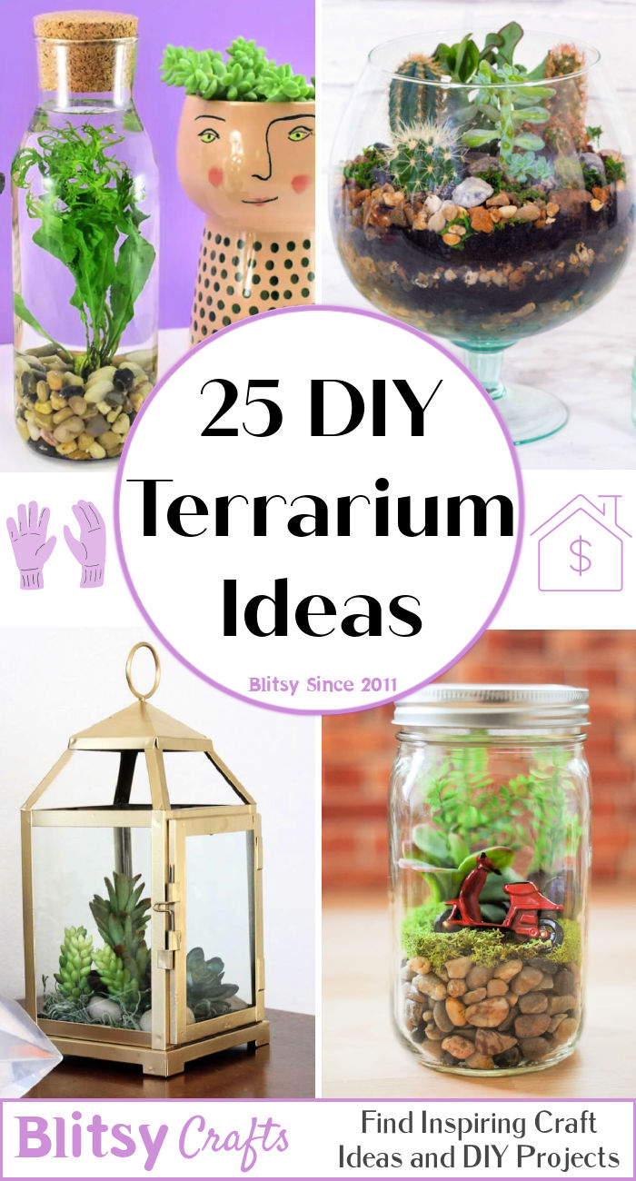 How to Make a Terrarium - Step by Step Guide - Blitsy