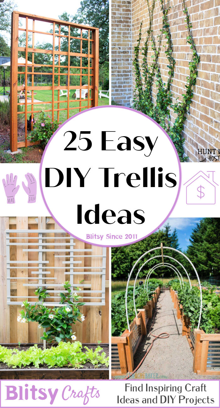25 Unique Trellis Ideas With Pictures - Blitsy