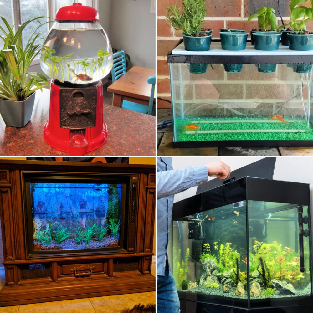 DIY Fish Tank (20 Free Plans) - Blitsy