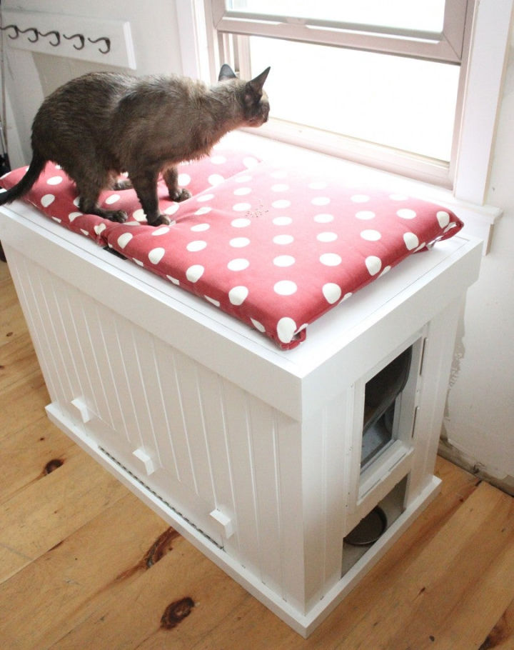 20 DIY Cat Litter Box Ideas + Hidden Litter Box - Blitsy