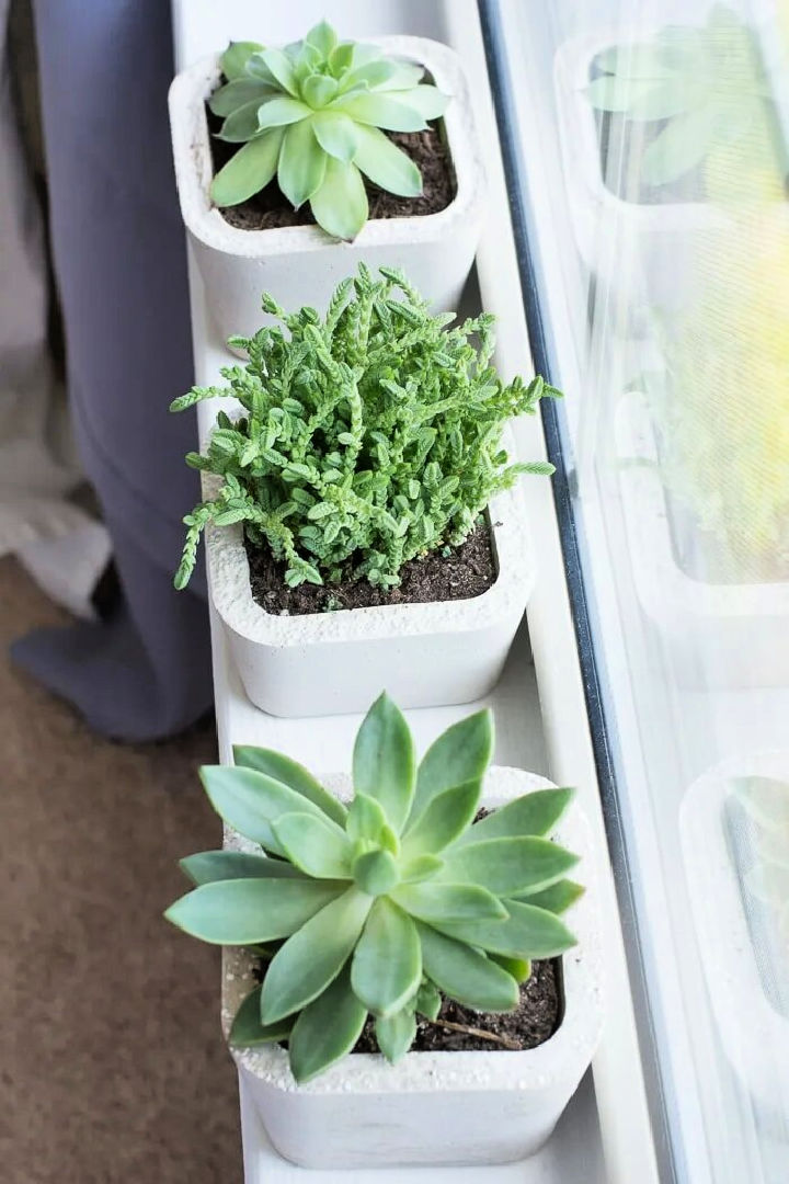 30 Beautiful DIY Planters You Can Make From Scratch - Blitsy