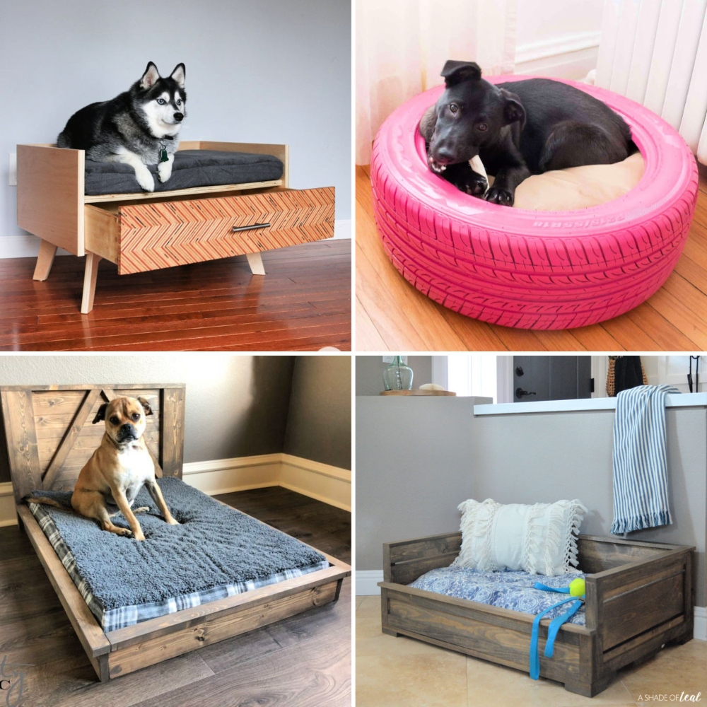 DIY Dog Bed (25 Ways to Make) - Blitsy
