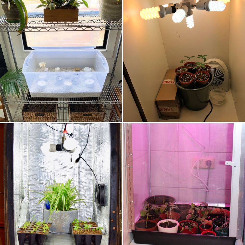 DIY Grow Box: 25 Ideas with Pictures - Blitsy