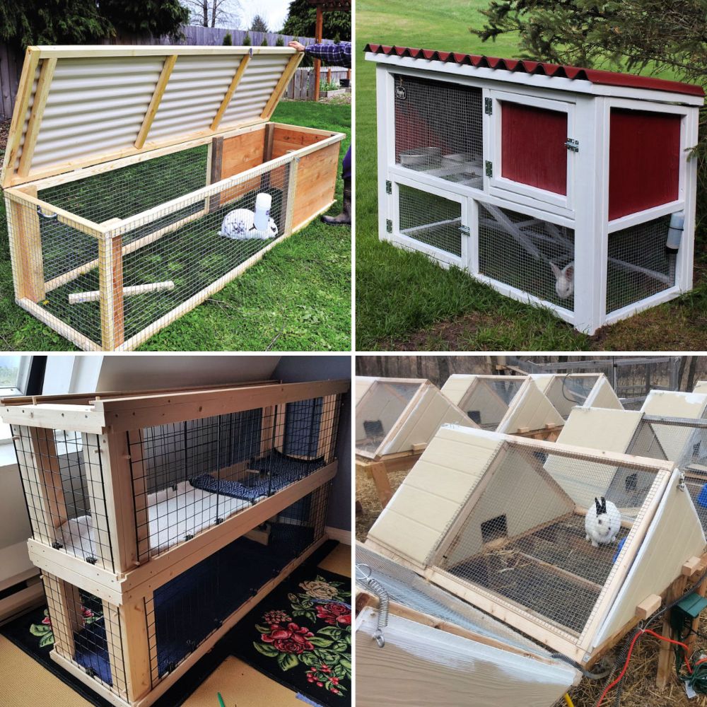 30 Free DIY Rabbit Hutch Plans You Can Build - Blitsy