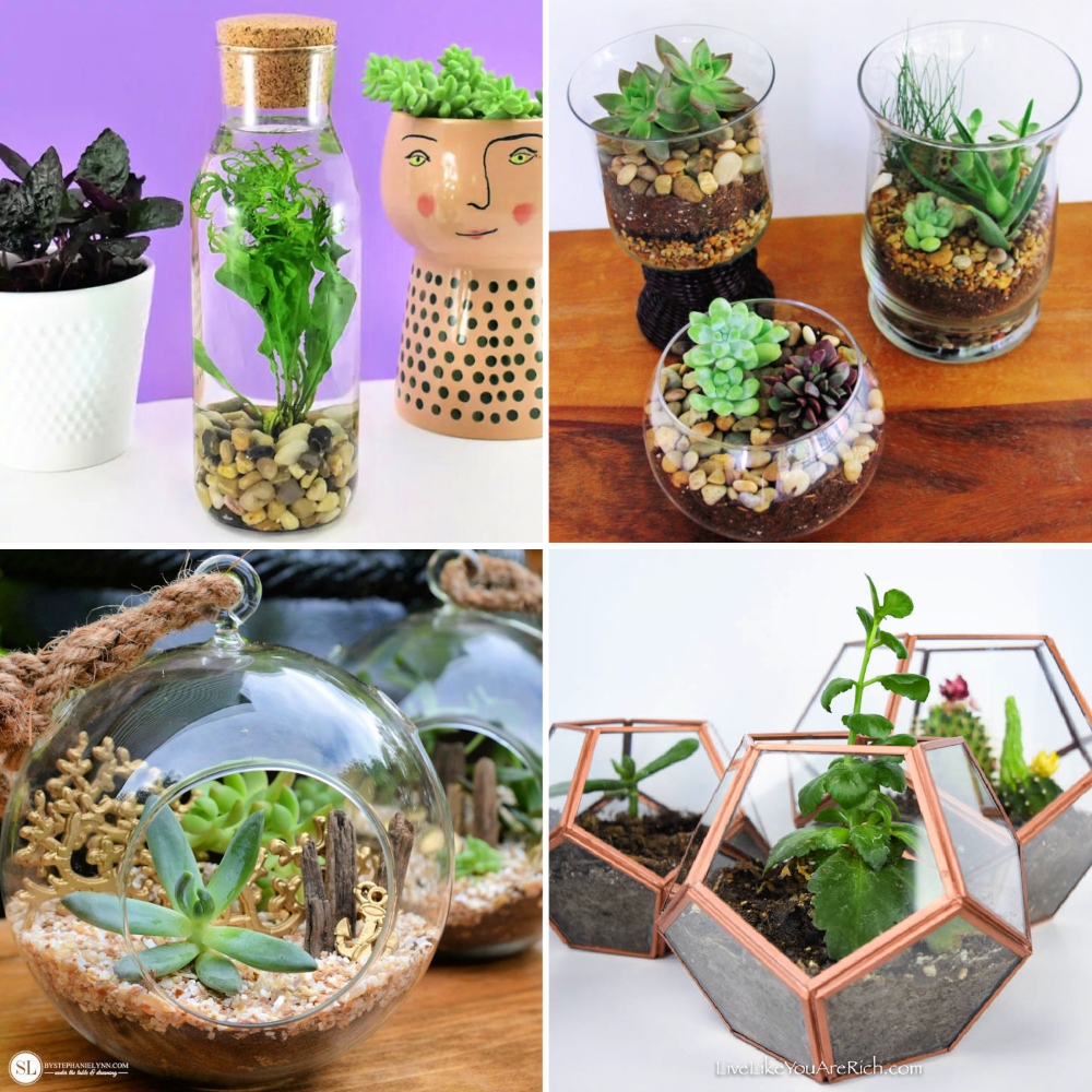 How to Make a Terrarium - Step by Step Guide - Blitsy