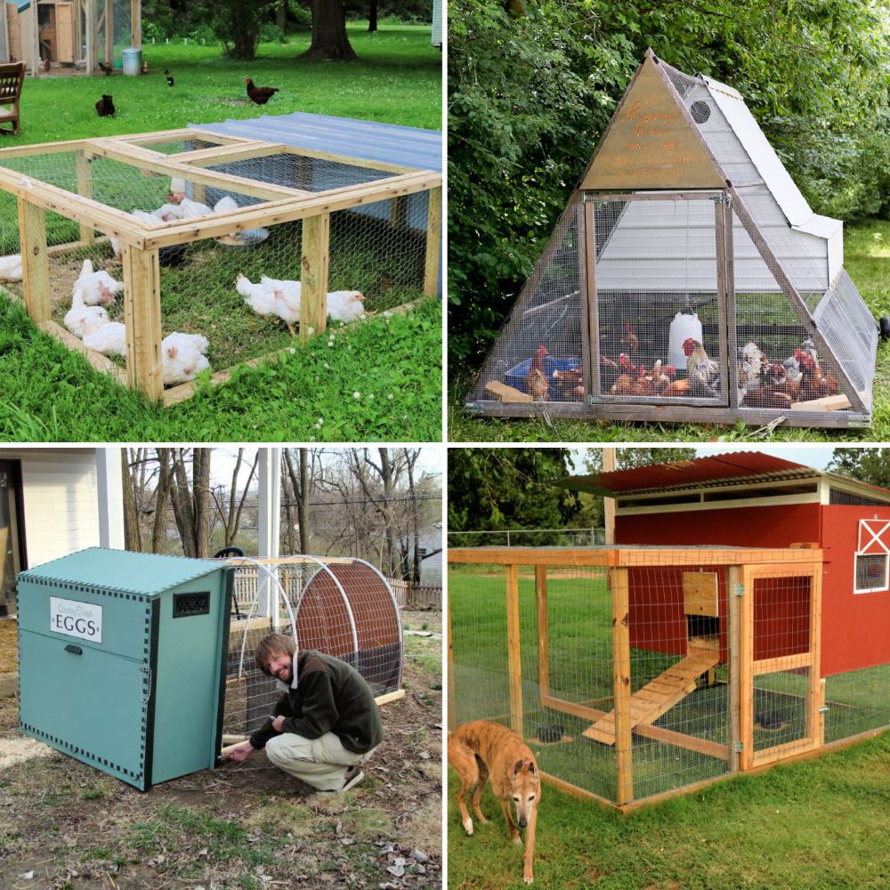 DIY Chicken Tractor (25 Free Plans) - Blitsy