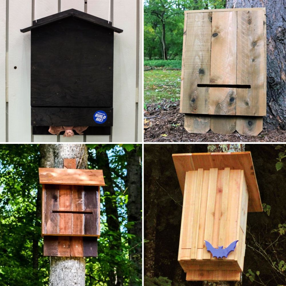DIY Bat House Plans to Build - Blitsy