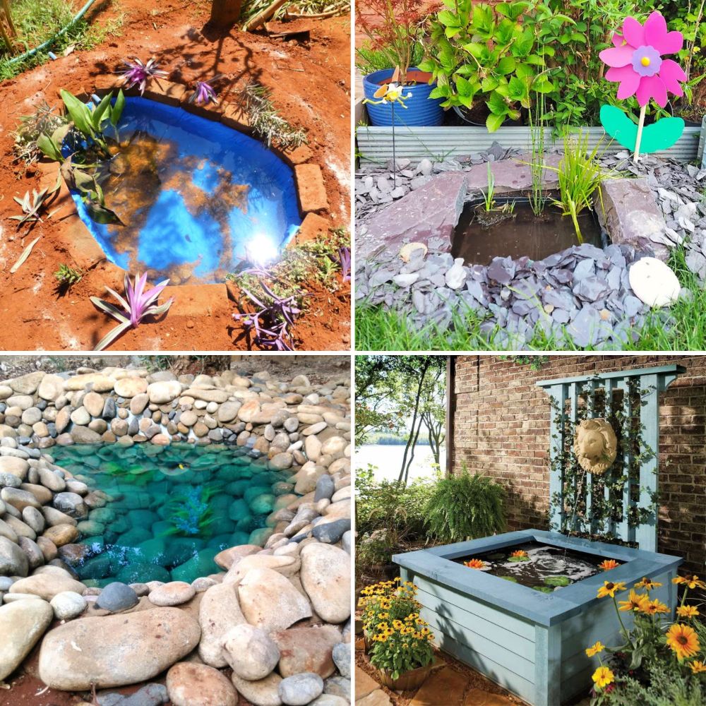 How to Build a Pond - Step by Step Guide - Blitsy