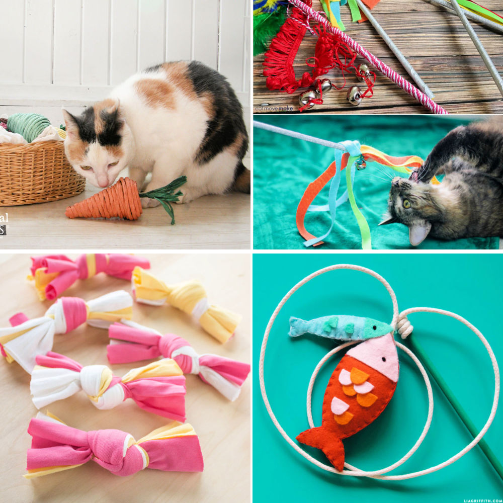 30 Cheap and Easy DIY Cat Toys To Make for Your Cats - Blitsy
