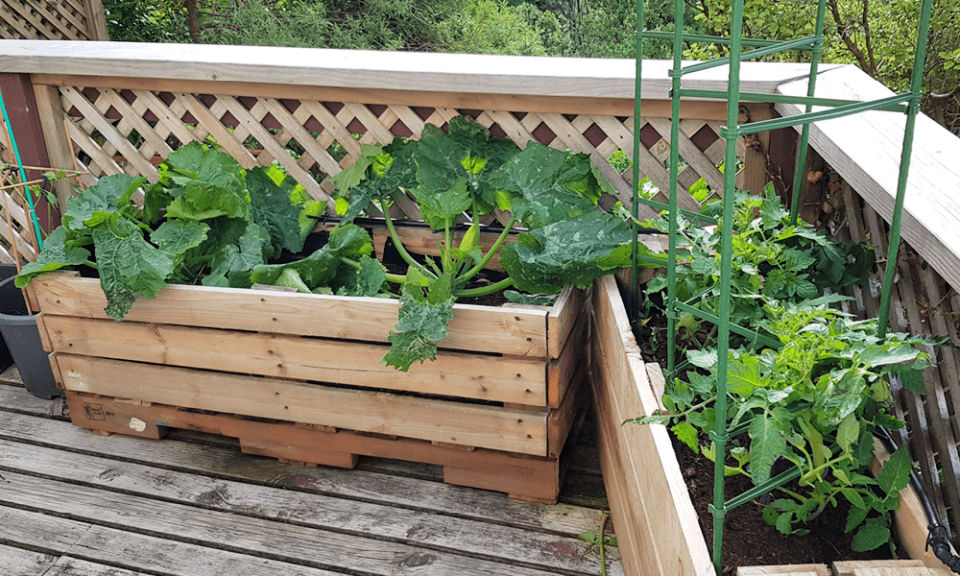 35 DIY Pallet Planter Box Ideas You Can Build with Free Wood