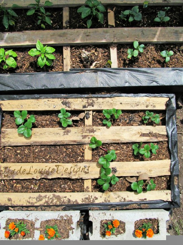 40 Cheap DIY Pallet Garden Ideas That Are Easy To Build - Blitsy