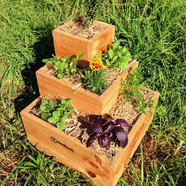 35 DIY Pallet Planter Box Ideas You Can Build with Free Wood