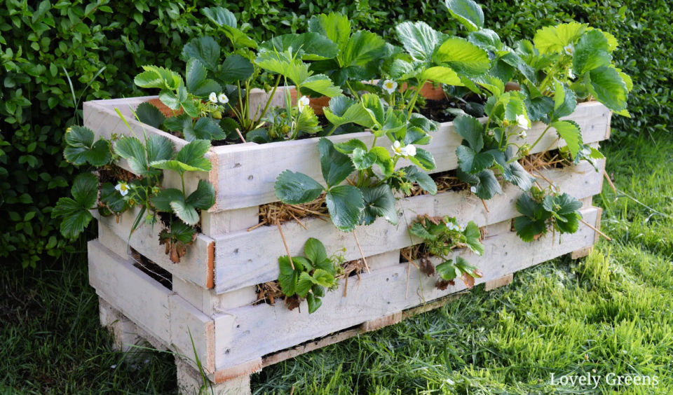 35 DIY Pallet Planter Box Ideas You Can Build with Free Wood